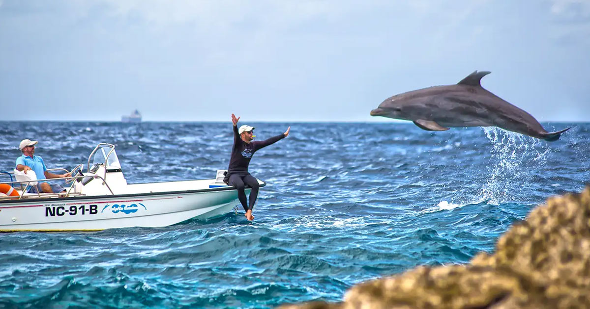 Curacao Dolphin Academy | The Royal Sea Aquarium Resort